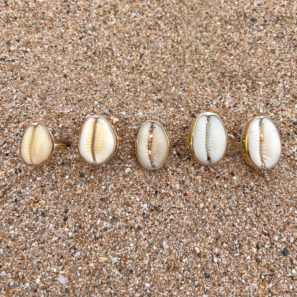 Gold Cowrie Shell Rings – WhiteSandJewelry